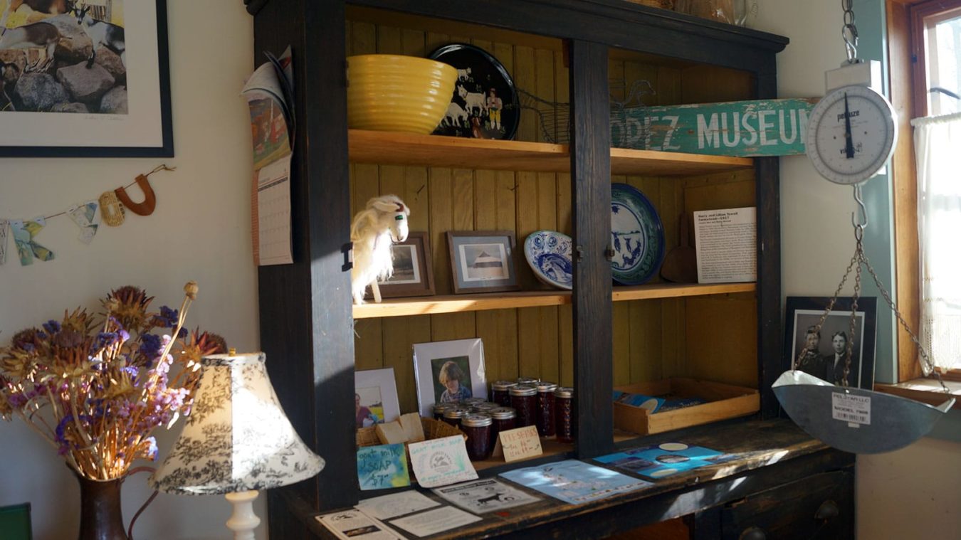 Take A Tour: Sunnyfield Farm | Friday Harbor Hotels