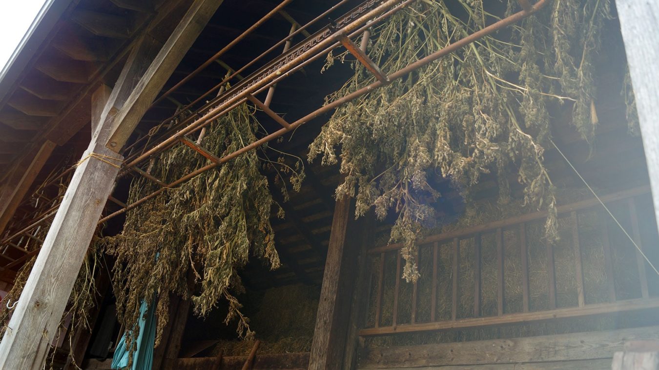 Take A Tour: Sunnyfield Farm | Friday Harbor Hotels